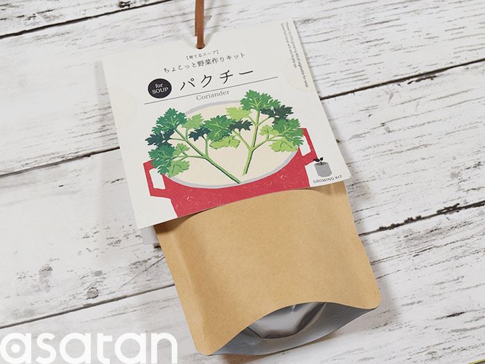 【旭川】全てワンコイン以下！クリスマスにもおすすめなギフトアイテム｜Sitakke【したっけ】