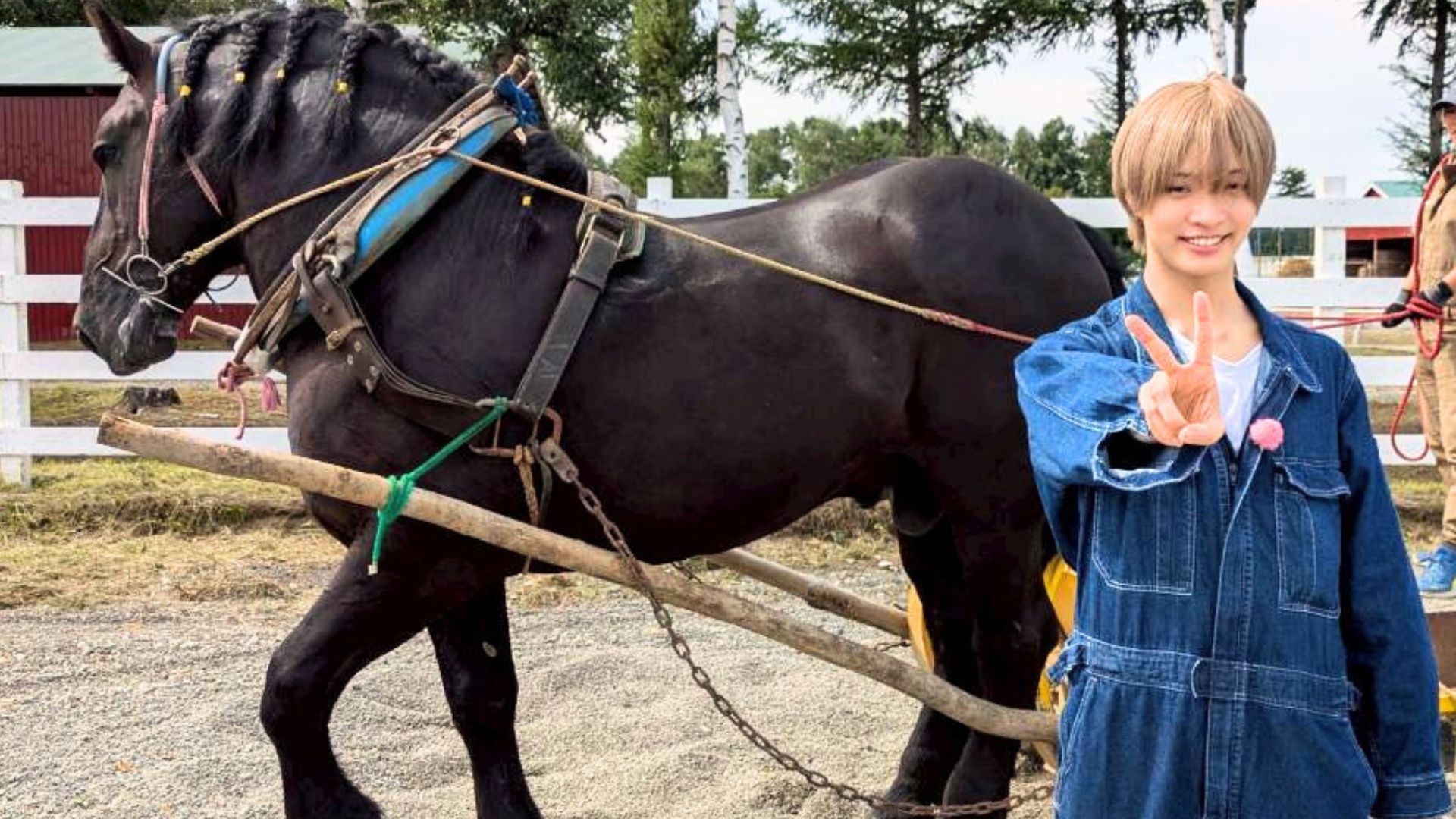 1トン超の巨大“ばん馬”にIMP.佐藤 新くんが圧倒！超レアな北海道生まれの南国フルーツに感動｜Sitakke【したっけ】