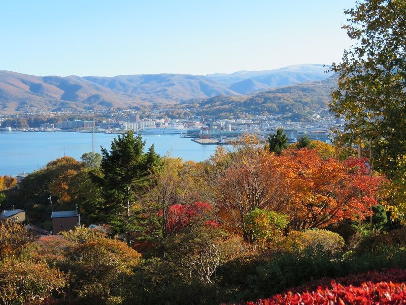 【小樽】800円で乗り放題！中央バス1日乗車券で紅葉めぐりしてみませんか？｜Sitakke【したっけ】