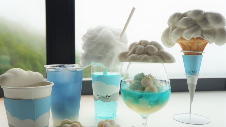 迫力満点の雲海やかわいいスイーツに大興奮！家族で「遊びも学びも叶える」イチオシ夏旅スポット｜Sitakke【したっけ】