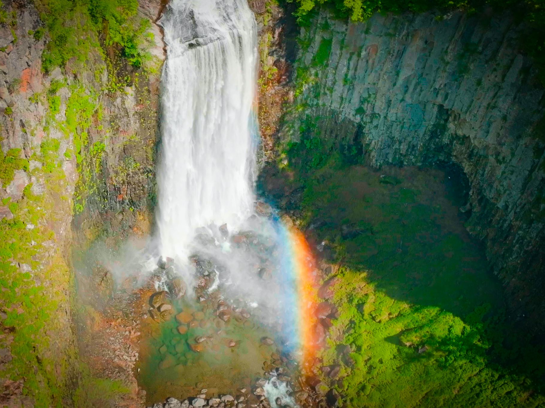 【絶景】キャンプ場や、渓流釣りも！ブナの森が育んだ水を集める”龍神の滝”｜Sitakke【したっけ】