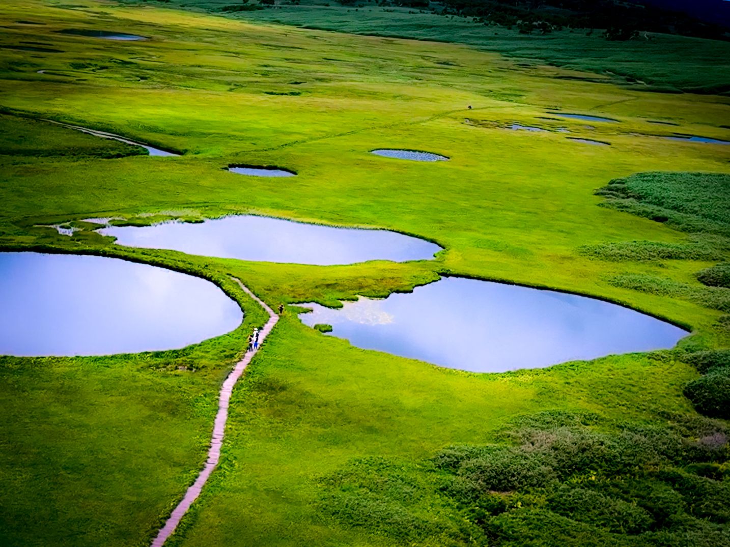まるで抽象画アートのような”天空の湿原”へ（雨竜沼湿原）【絶景ドローン旅】｜Sitakke【したっけ】