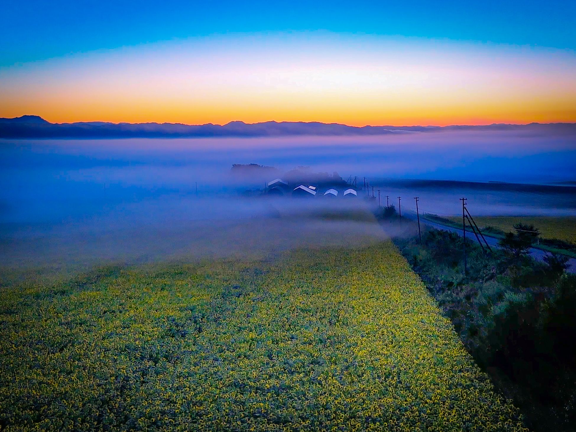 新千歳空港からいちばん近い？“北海道らしい風景”を求めて｜Sitakke【したっけ】