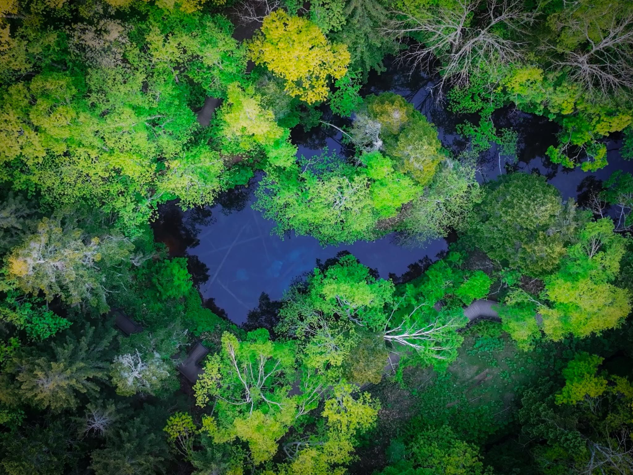 【絶景ドローン旅】〝神の子〟の名を持つ、森の中の神秘の泉｜Sitakke【したっけ】