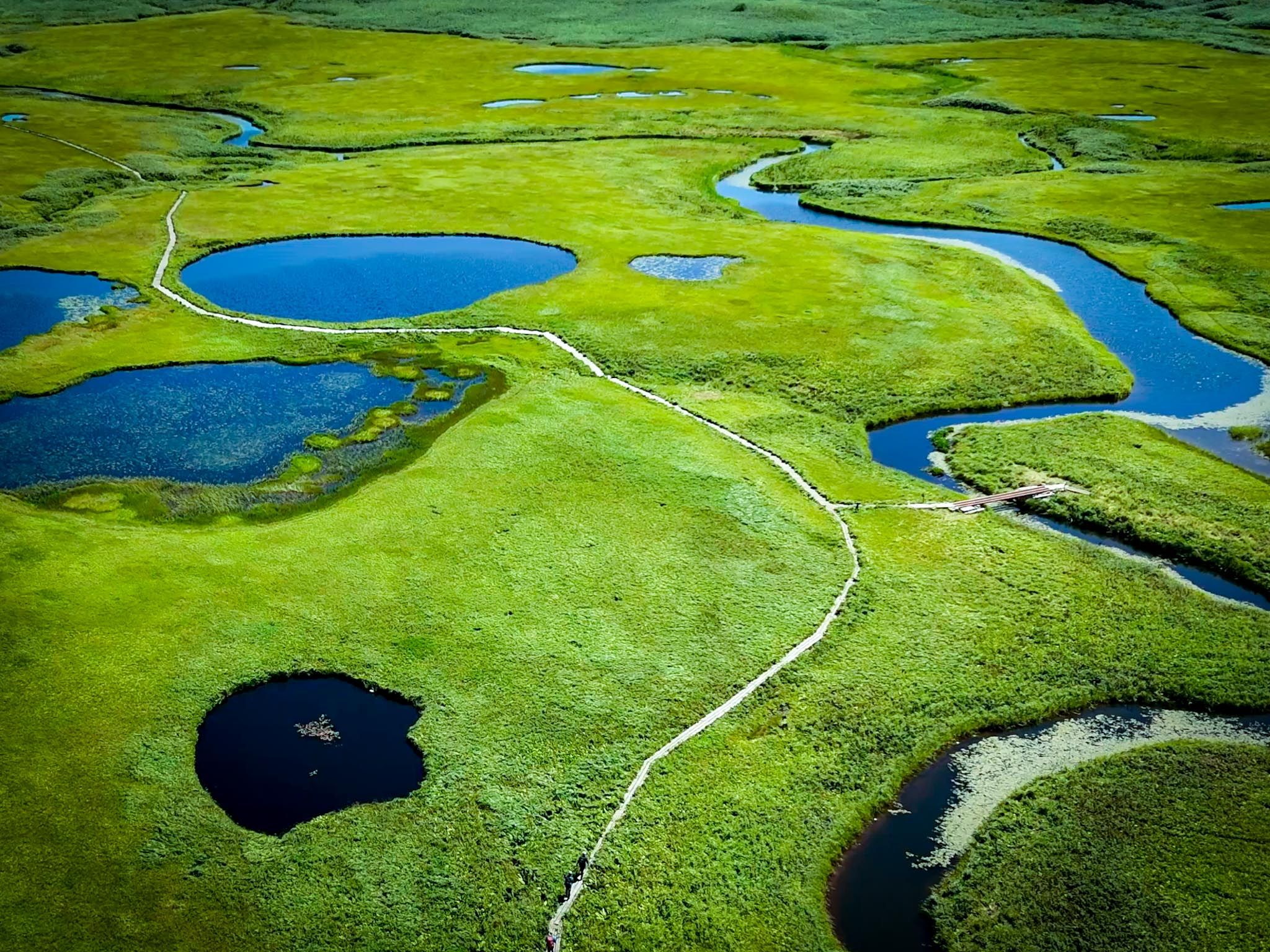 【絶景ドローン旅】標高850メートルに広がる〝天空の湿原〟｜Sitakke【したっけ】