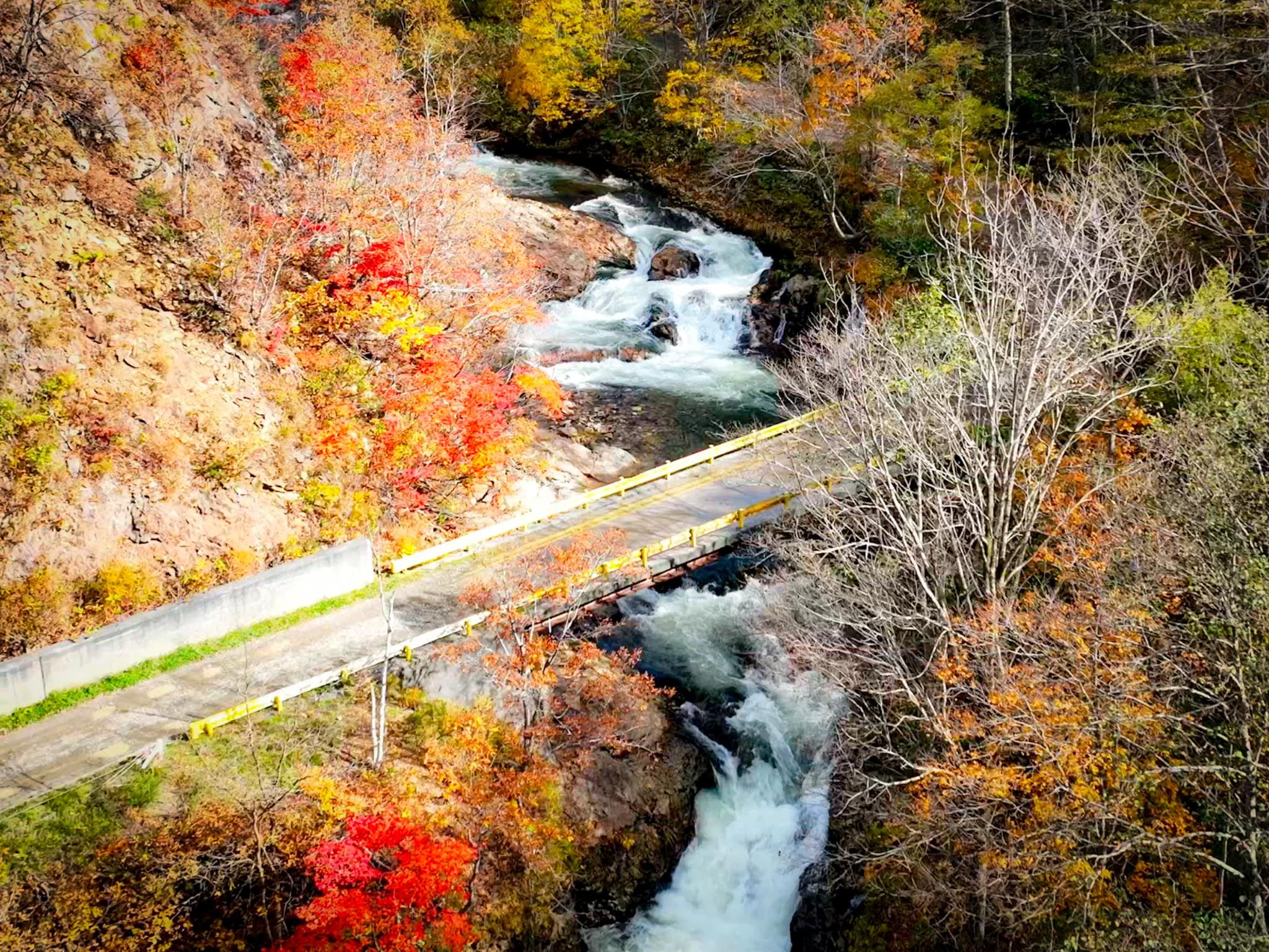 【絶景ドローン紀行】"ライオン"という名前の滝に晩秋の彩り(北海道・赤井川村)｜Sitakke【したっけ】