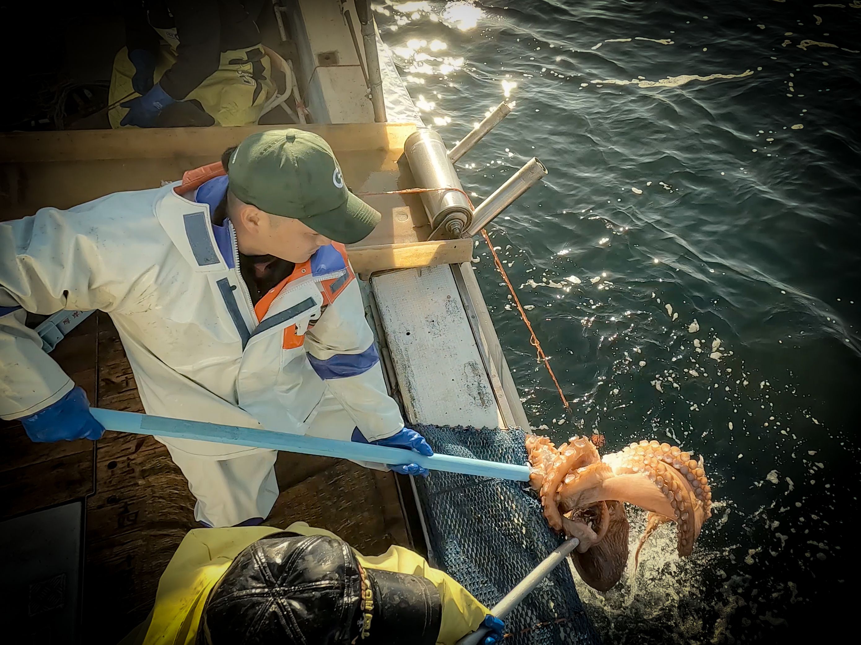 【絶景ドローン旅】ビッグサイズ続々と！大正時代から続く伝統の漁とは？｜Sitakke【したっけ】