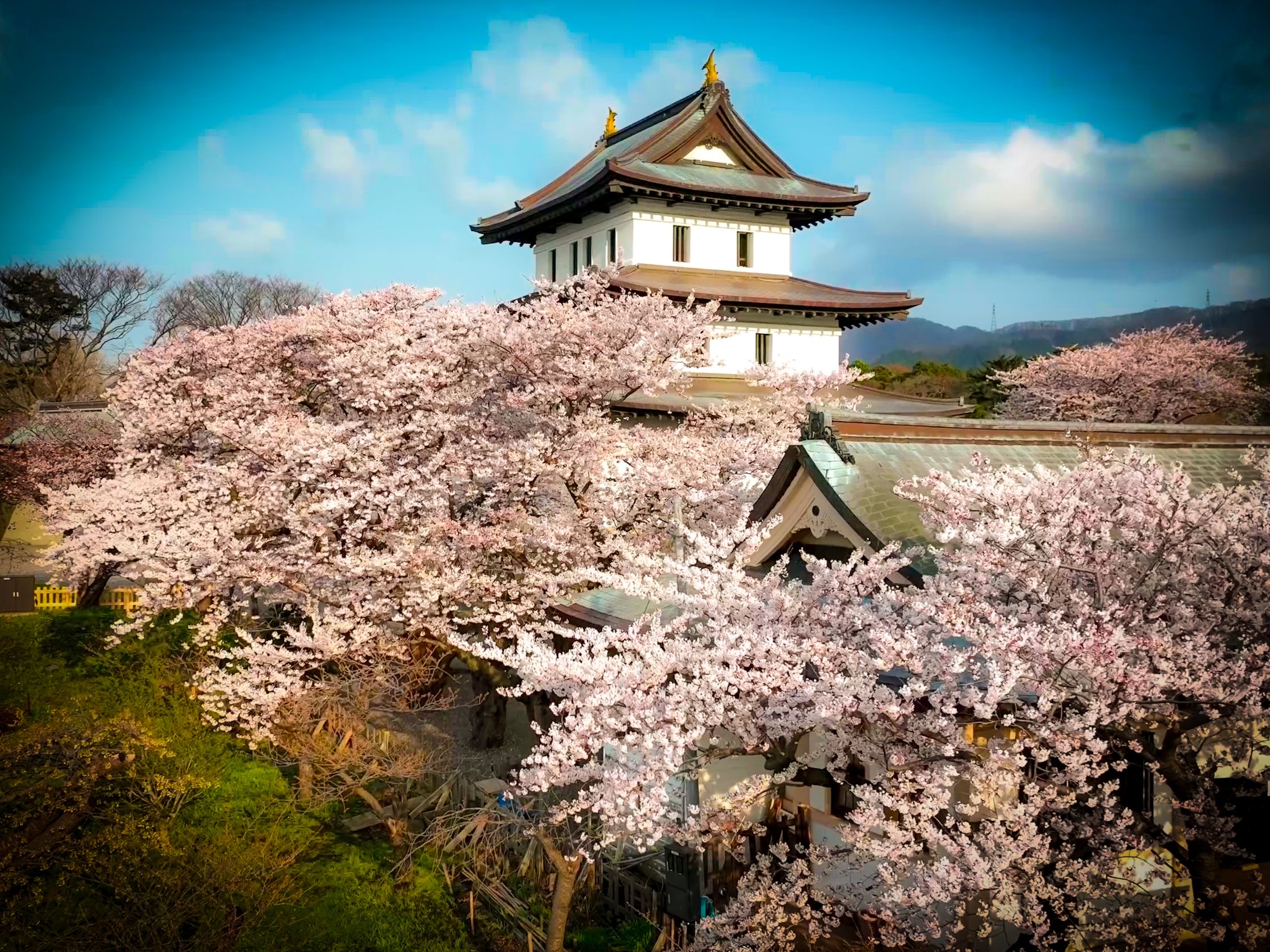 【絶景】「北の小京都」1か月にわたって次々と桜が開花する 日本最北の城下町／北海道・松前町｜Sitakke【したっけ】