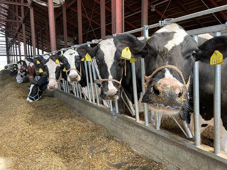 移住者が答える！移住前後のギャップって？【アンケート】｜Sitakke【したっけ】