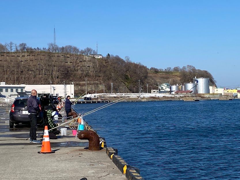 初心者でも大丈夫！小樽の海での釣りの楽しみ方お教えします｜Sitakke【したっけ】