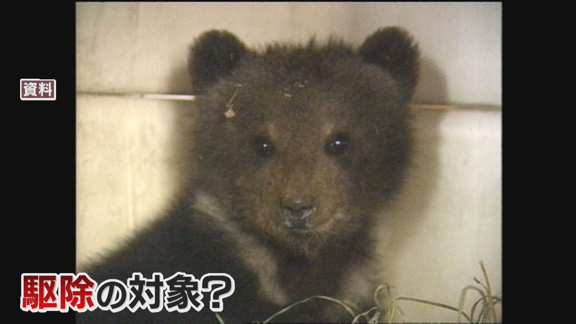 今日ドキッ！｜HBC北海道放送