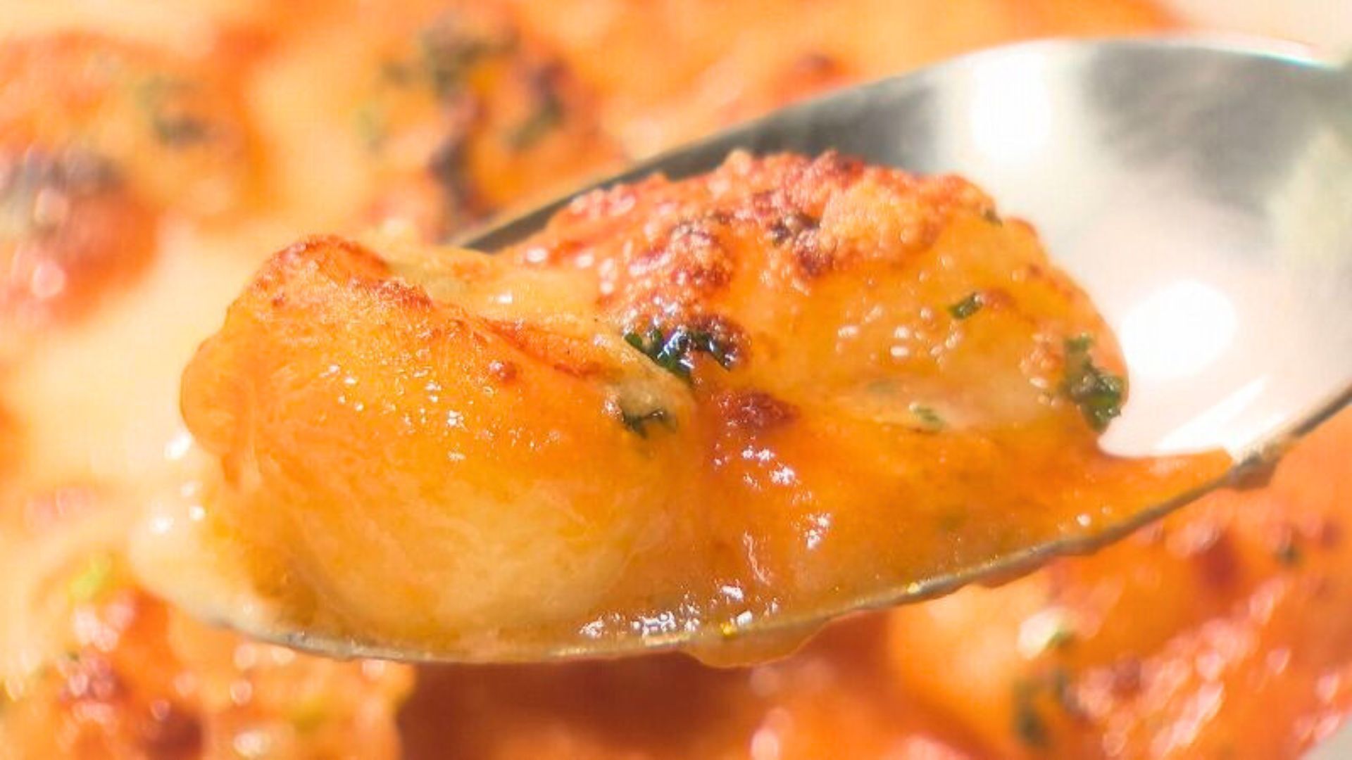 「概念が変わる！」ニョッキとは？森の中のカフェへぶらり【今日ドキッ！】｜Sitakke【したっけ】