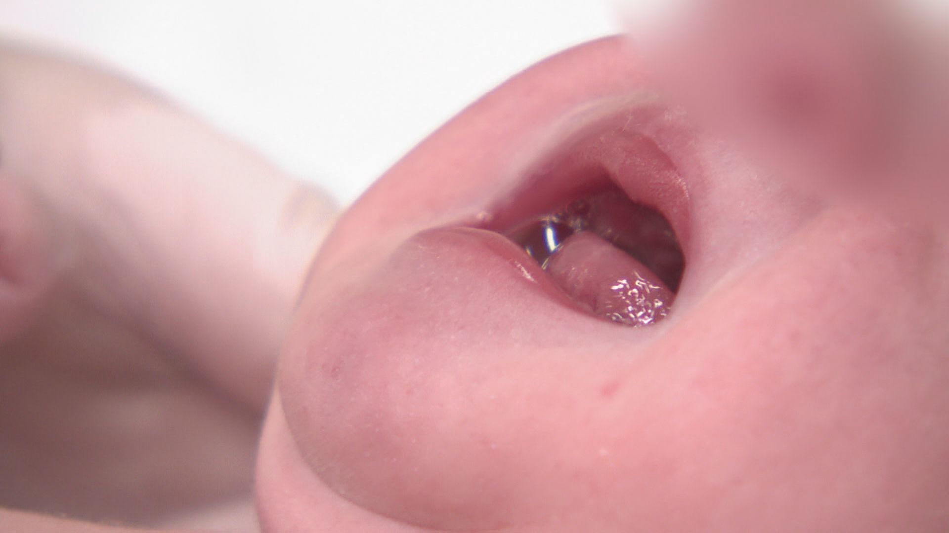 北海道fact｜HBC北海道放送