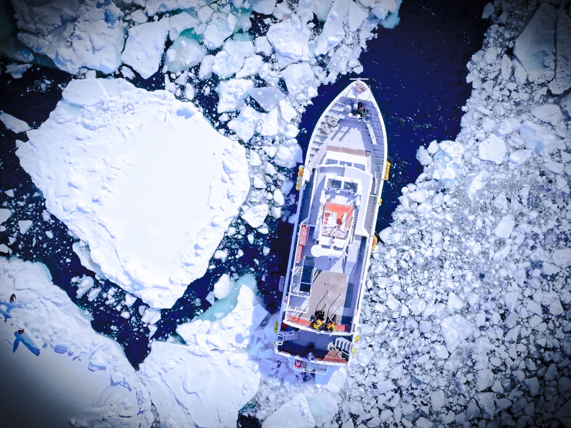 【流氷】早朝出港がベストタイミング！世界遺産・知床で出会う神秘の瞬間｜Sitakke【したっけ】