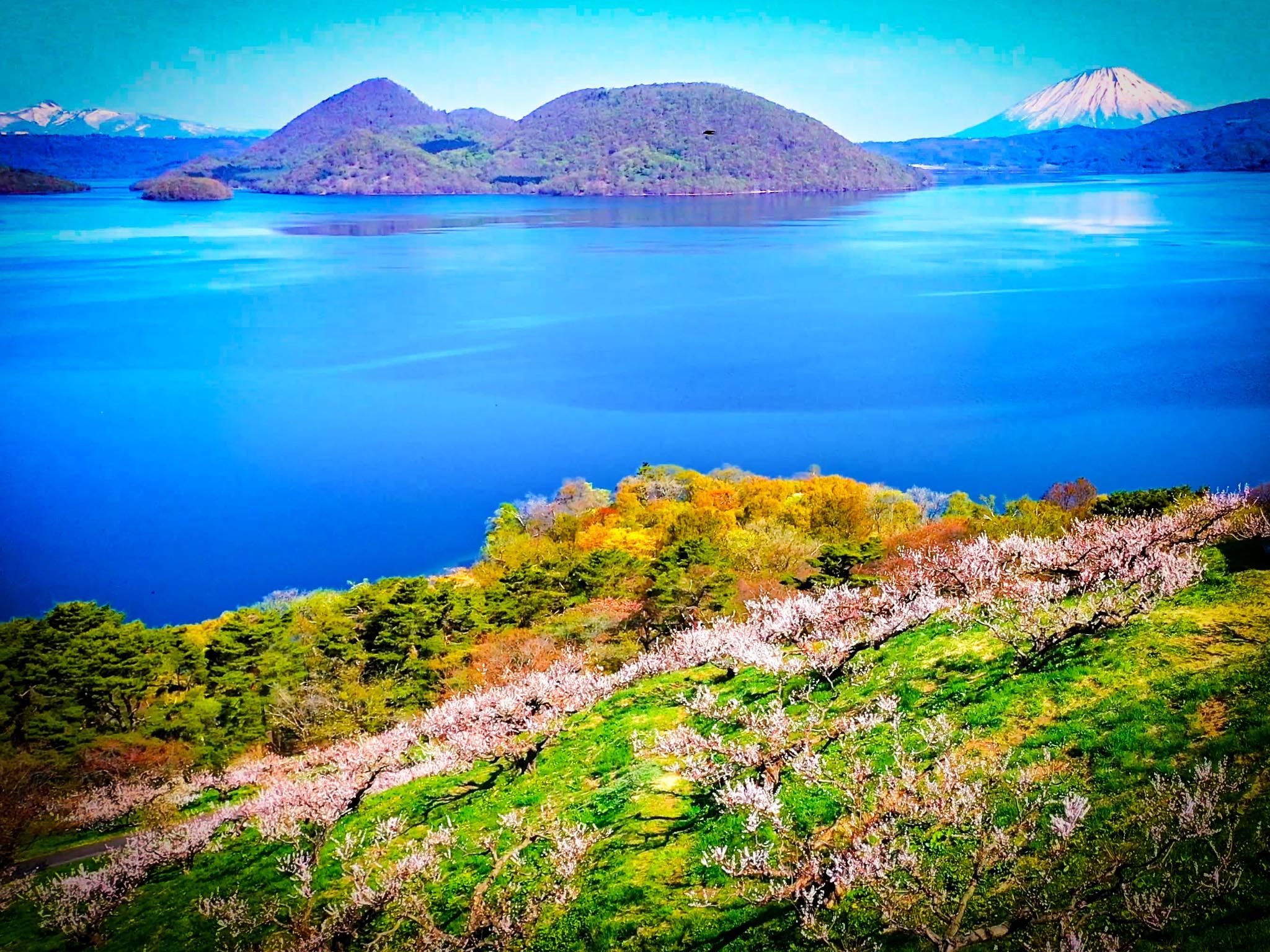 【絶景ドローン旅】花の香りただよう洞爺湖畔の絶景ビュー｜Sitakke【したっけ】