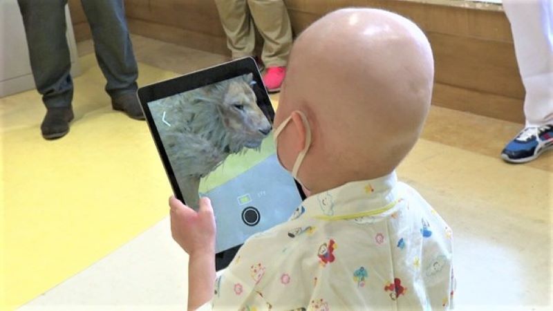 「動物園では見られない近さ」ライオンなでなで、カバのおしりに回り込んで…バーチャルどうぶつえんが小児病棟にやってきた｜Sitakke【したっけ】