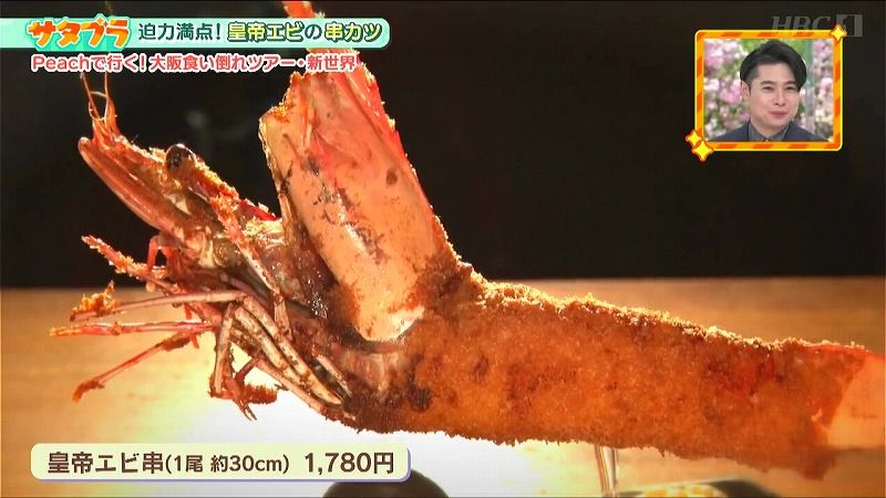 サタブラ記事一覧|hbc北海道放送