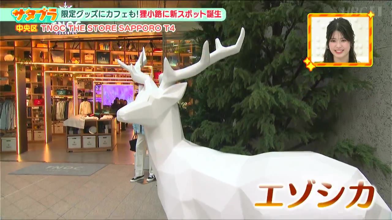 サタブラ|hbc北海道放送