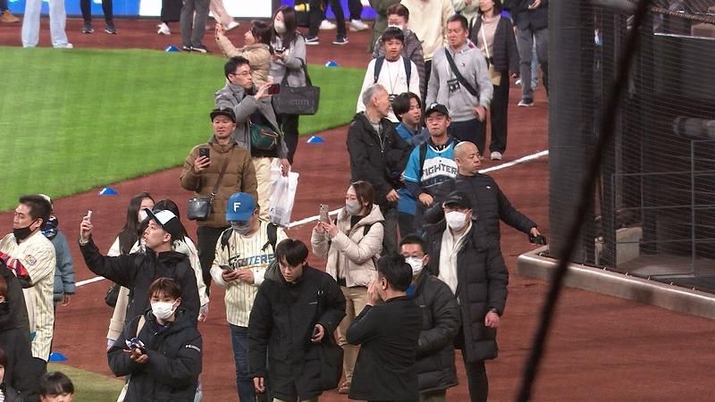 観戦中のSNS投稿・配信はNG？野球に音楽ライブ…新ルールあれこれをおさらい！｜Sitakke【したっけ】