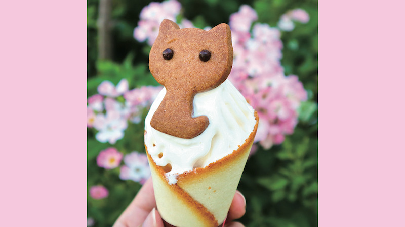 【5選】ねこがちょこんと乗って待ってます 北海道本別町・浦幌町の注目ソフトクリーム #北海道ソフトクリームラリー2025｜Sitakke【したっけ】