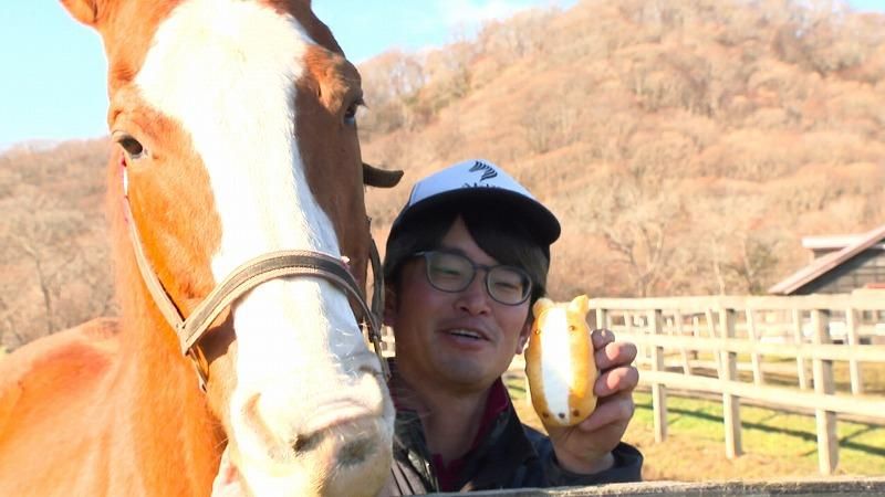 完売！「うまコッペ」たっぷりクリームでそっくりに “うまてなし”が牧場の救世主｜Sitakke【したっけ】