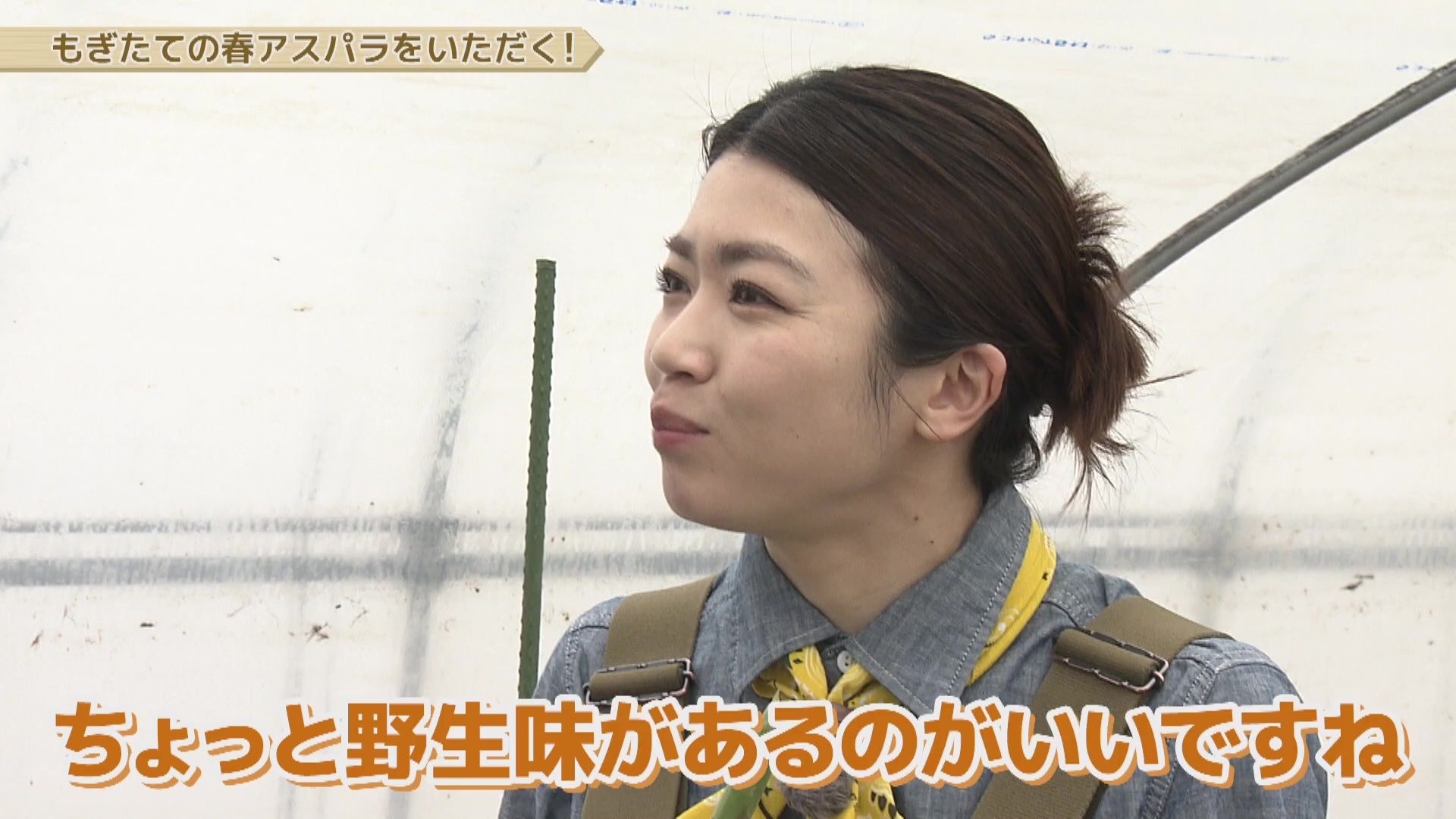 あぐり王国北海道NEXT｜HBC北海道放送