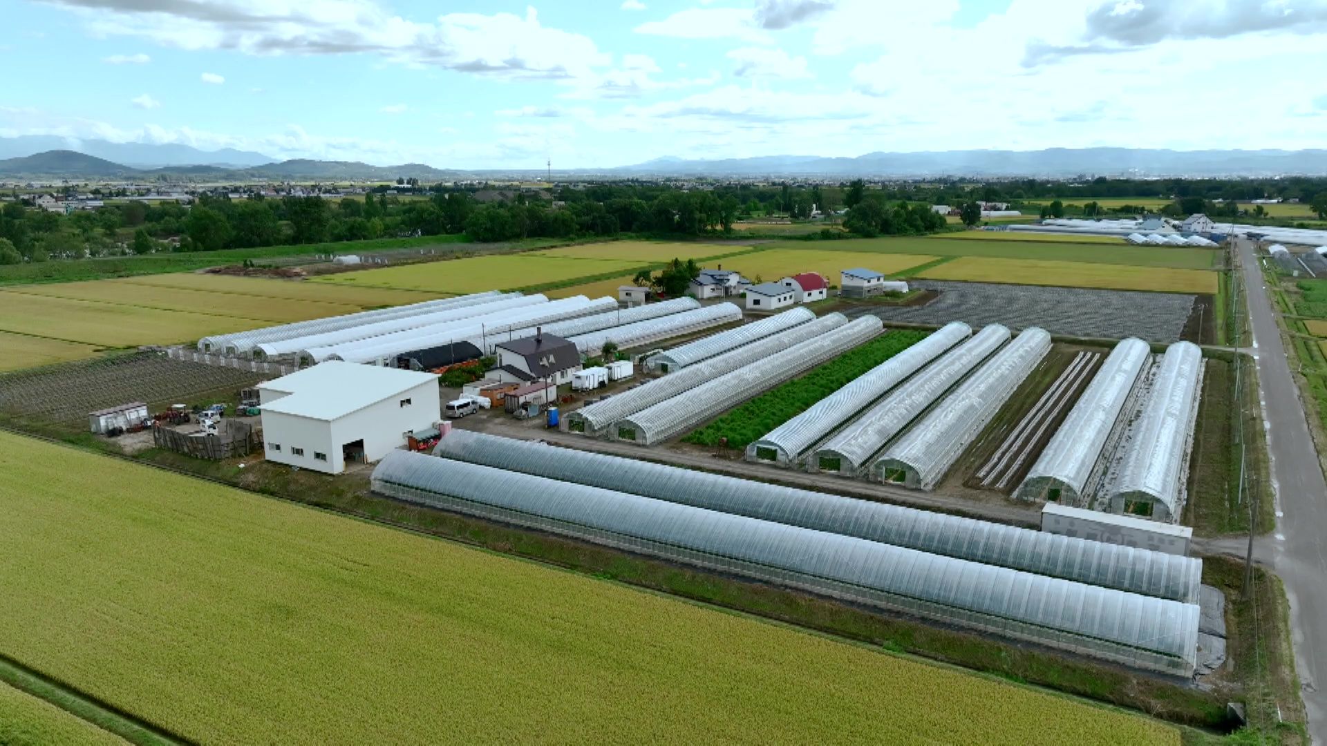 あぐり王国北海道NEXT｜HBC北海道放送